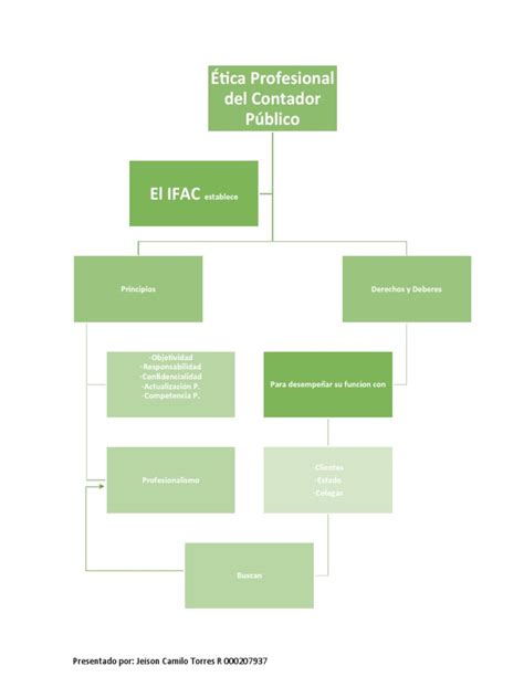 Mapa Conceptual Ifac Pdf