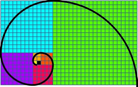 The Fibonacci Sequence Teaching Resources