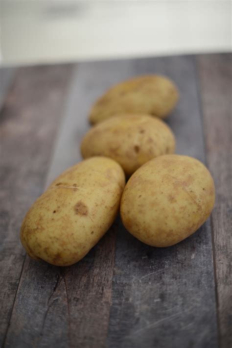 Roasted Vegetable Bake Recipe Notes From A Stylist