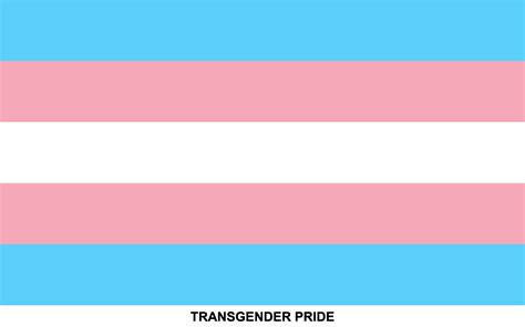 Flag Of Transgender Pride Transgender Pride Flag 45960595 Vector Art