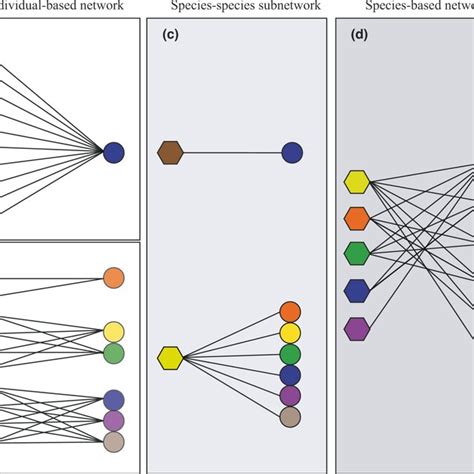 Pollinator Individual‐based Network And Species‐based Network At The Download Scientific