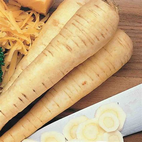 Parsnip Hollow Crown Ritchie Feed And Seed Inc