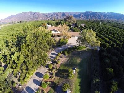 40 Acre Ojai Citrus Ranch 3359 Reeves Road Ojai Ca Nora Davis