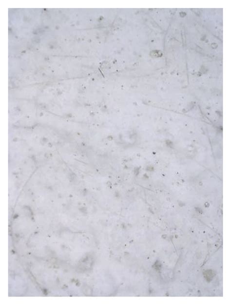 Microstructure Of All Tested Samples And Scale Used In Micrometres