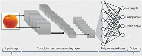 Fruit Classification Detection Using Deep Convolutional Neural Network