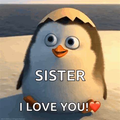 Sis S