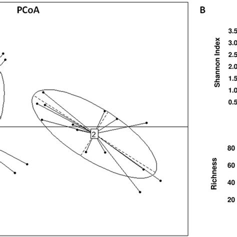 A Principal Coordinates Analysis Pcoa Showing The Cluster Of The