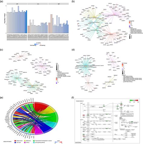 go and kegg enrichment analysis a go function enrichment analysis