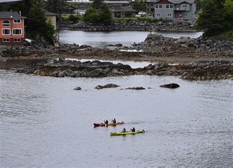 Wildlife Excursions In Sitka Alaska
