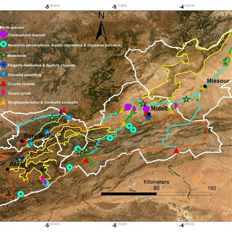Diversity Of Ecosystems And The Occurrence Location Of Avian Species