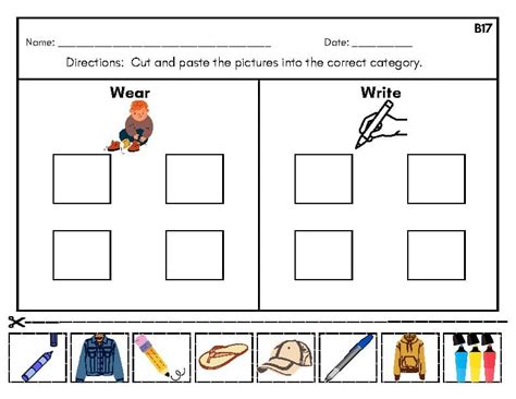 Ablls B17 Sort By Function Worksheets By Adapted By Amanda Tpt