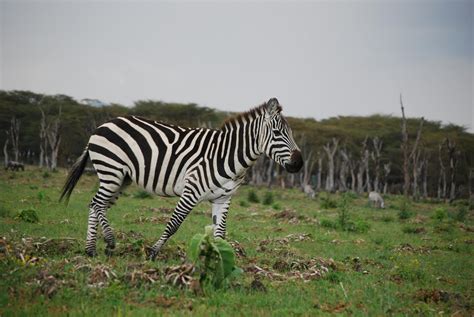 Natural Environment Photos Download The Best Free Natural Environment