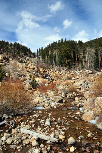 Horseshoe Park Rocky Mountain National Park Roaring River Debris From