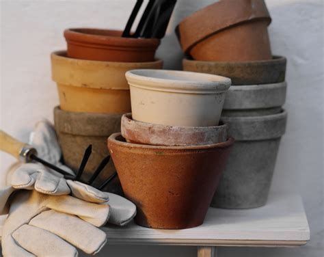 Diskitis Webdoktor Portal