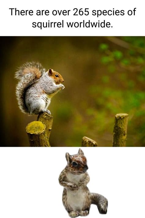 Squirrel Gray Squirrel Scamper Miniature Porcelain Figurine