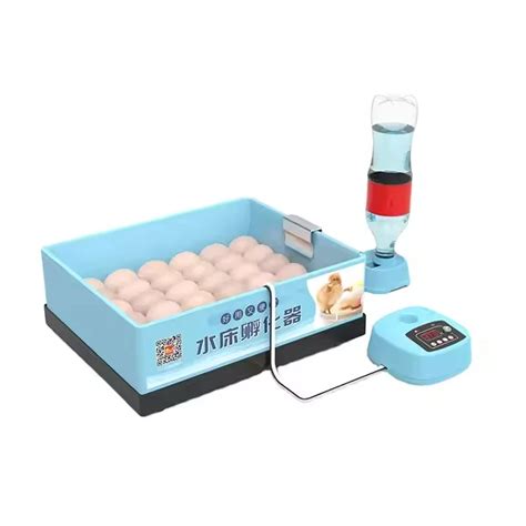 Automatic Egg Incubator Solar Energy Egg Incubator Incubators Hatching