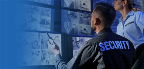 Different Types Of Intruder Detection Systems Used Blue Eagle