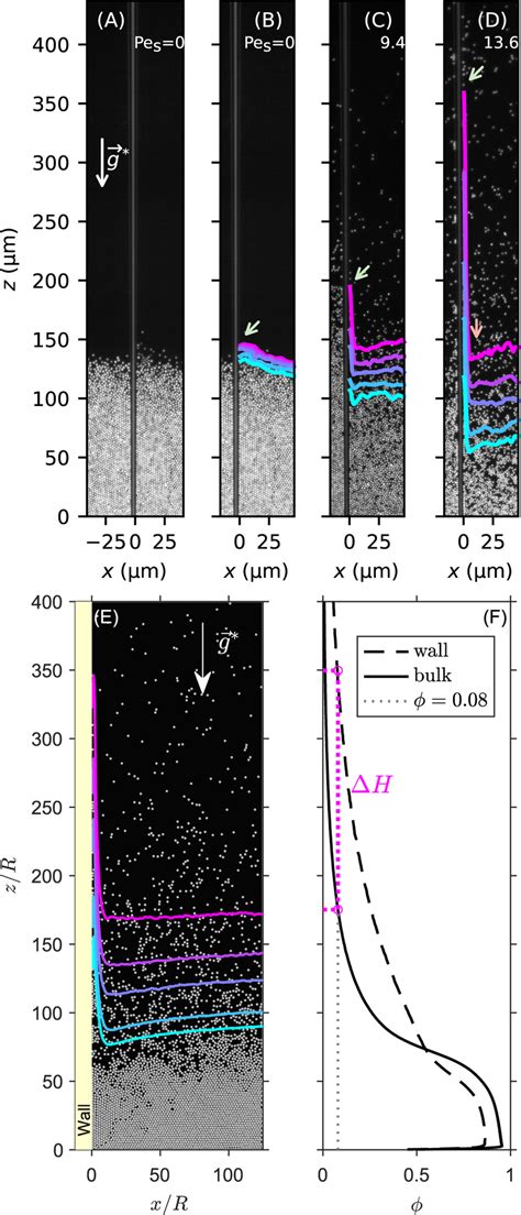 Active Janus Colloids Climb A Wall A Experimental Set Up Glass Wall