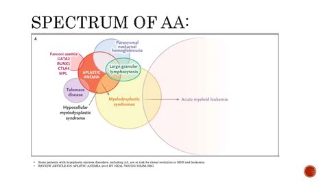 Aplastic Anemia Power Point Presentation Pptx