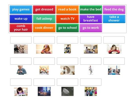 Daily Routines Match Up