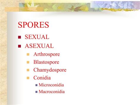 1 Introduction To Mycology And Classification Ppt