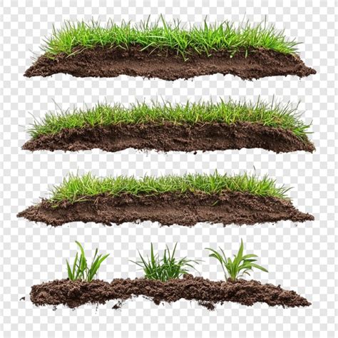 투명한 배경에 고립 된 울창한 녹색 잔디 어리 컬렉션은 정원 디자인 정원 프로젝트 또는 자연 테마의 창조에 완벽합니다 Ai 생성 Psd