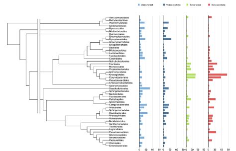 Figure 1 From High Throughput Sequencing And Network Analysis Disentangle The Microbial