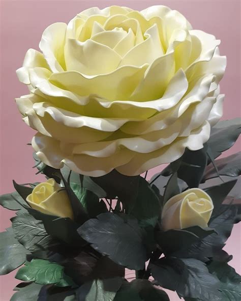 Роза в цветочном горшке