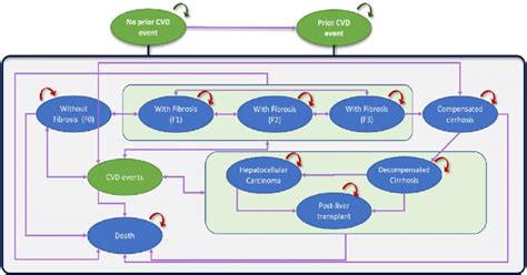 Markov Model Structure Cvd Cardiovascular Disease F Fibrosis