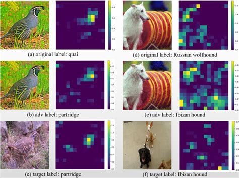 Feature Maps Of Rn50 Applied On Original Images A D Adversarial