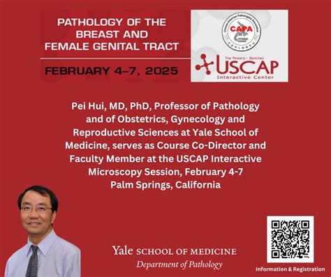 Yale Pathology On Linkedin Pathology