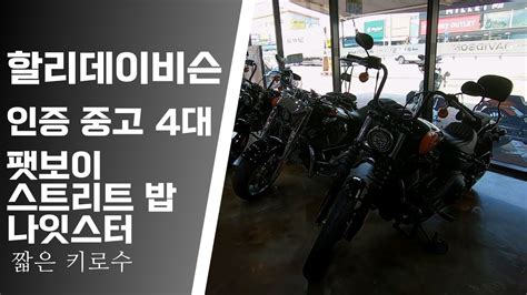 할리데이비슨 인증 중고차량4대 팻보이 스트리트 밥 나잇스터 도도할리 최우혁 Youtube