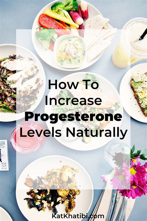 How To Increase Progesterone Levels Naturally Kat Khatibi Podcast On Health Happiness And Beauty