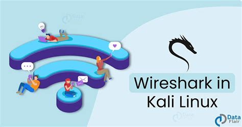 Network Analysis With Wireshark On Kali Linux DataFlair