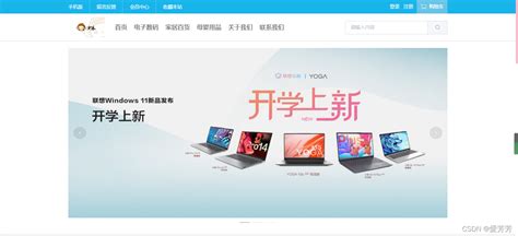 Vueelement简单实现商城网站首页，模仿电商商城element Ui 商城 Csdn博客