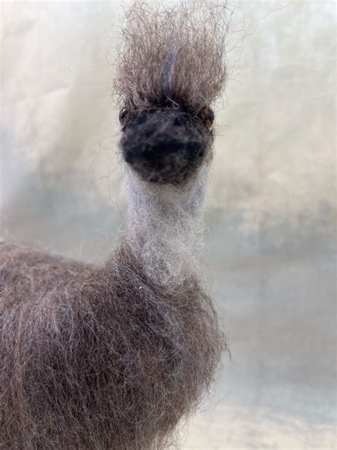 Emu Tutorial Wild Woolly Needle Felting Australia