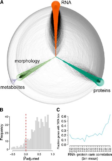 Dense Network Structure Of Phenotypic Correlations A Hive Plot Download Scientific Diagram