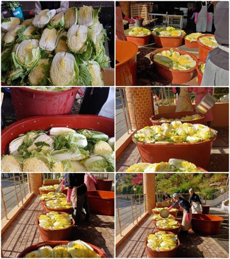 본원 김장하는 모습 새소식 예수성심전교수녀회