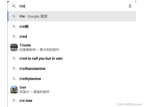 trie树详解：前缀匹配与关键词提示的实现 csdn博客