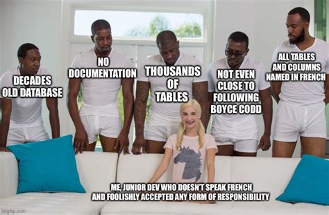 Taking The Lead On Data Migration And Transformation R ProgrammerHumor