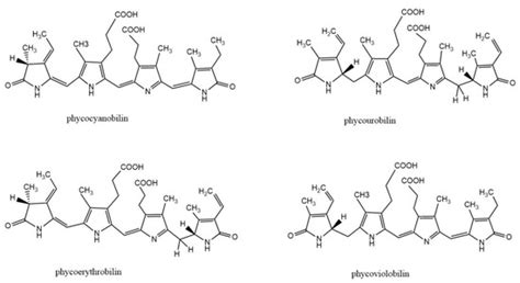 Recent Progress Of Natural And Recombinant Phycobiliproteins As
