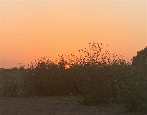 Sunset Blank Template Imgflip Sunset Blank Template Imgflip