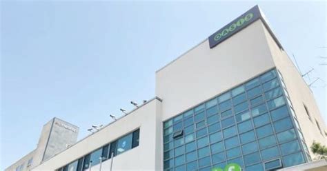 지어소프트 자회사 오아시스 상장보다 성장에 집중 필요