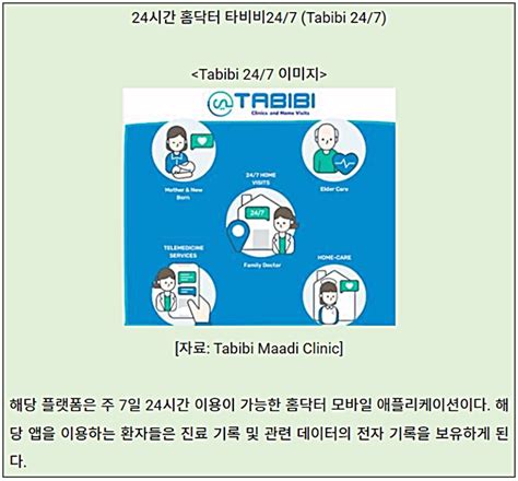 이집트 디지털 헬스케어 시장동향