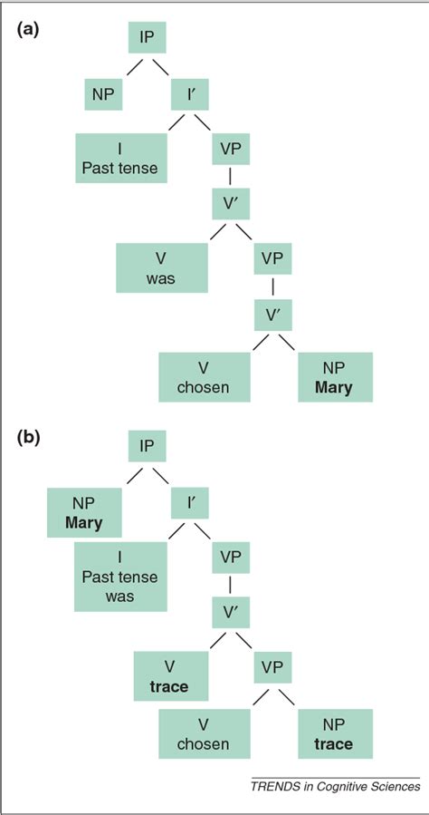 table 1 from the minimalist program in syntax semantic scholar