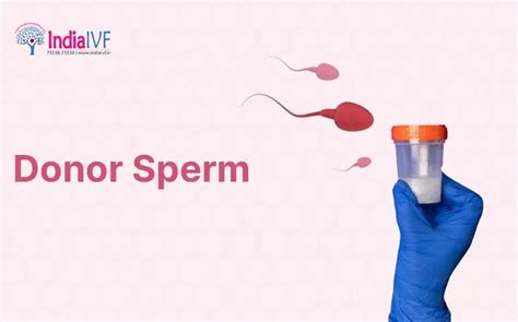 Sperm Donation Program Become A Sperm Donor