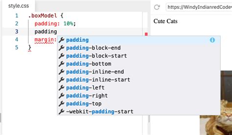 Das Css Box Modell