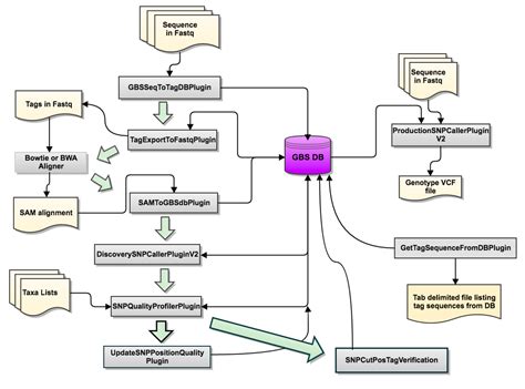 Mapping And Snp Calling Tutorial Iujleo