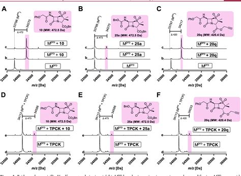 Figure 1 From Penicillin Derivatives Inhibit The Sars Cov 2 Main