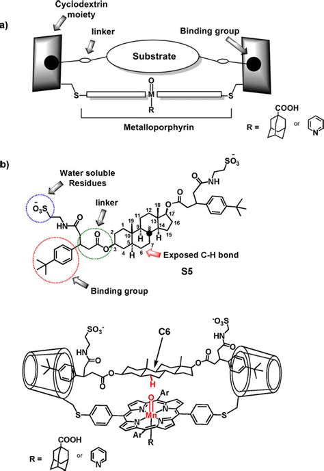 Controlling Selectivity In Aliphatic C−h Oxidation Through Supramolecular Recognition Vidal